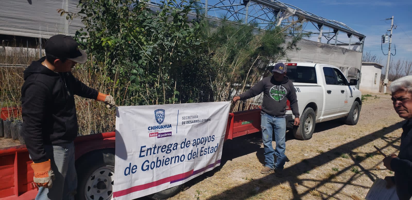 Recibe Desarrollo Rural importante donación de árboles – Parral Minuto ...